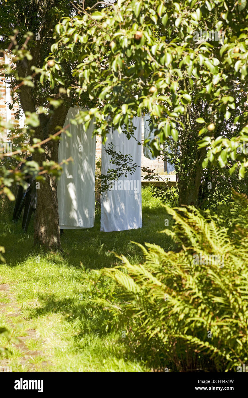 Laundry, garden, trees Stock Photo - Alamy