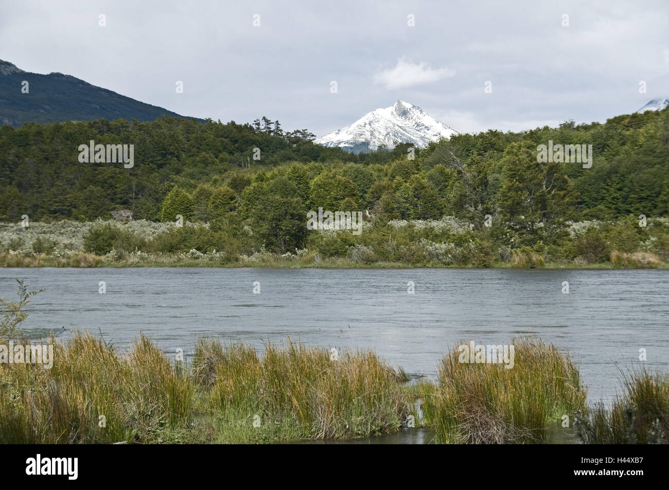 Argentina, Tierra del Fuego, Usuhuaia, Lapataia national park, Lago ...