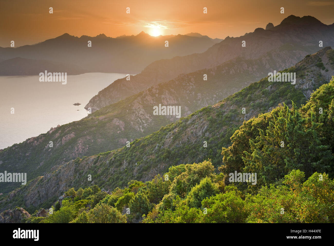 France, Corsica, gulf of Porto, coast Stock Photo - Alamy