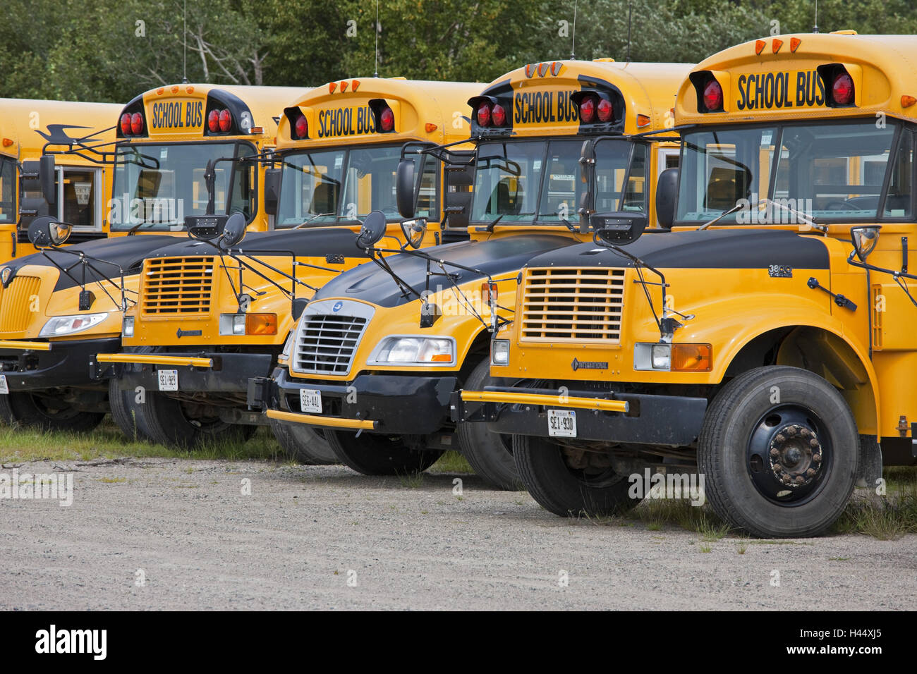 The USA, Michigan, school buses Stock Photo - Alamy