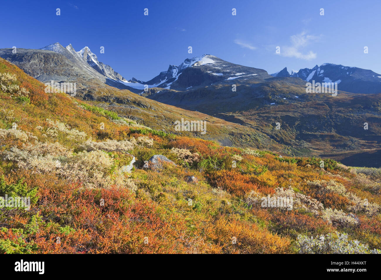 Fall colors in the mountains norway hi-res stock photography and images ...