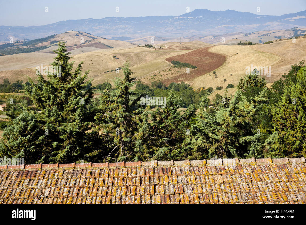Italy, scenery, roof, trees, botany, flora, nature, fields, view ...