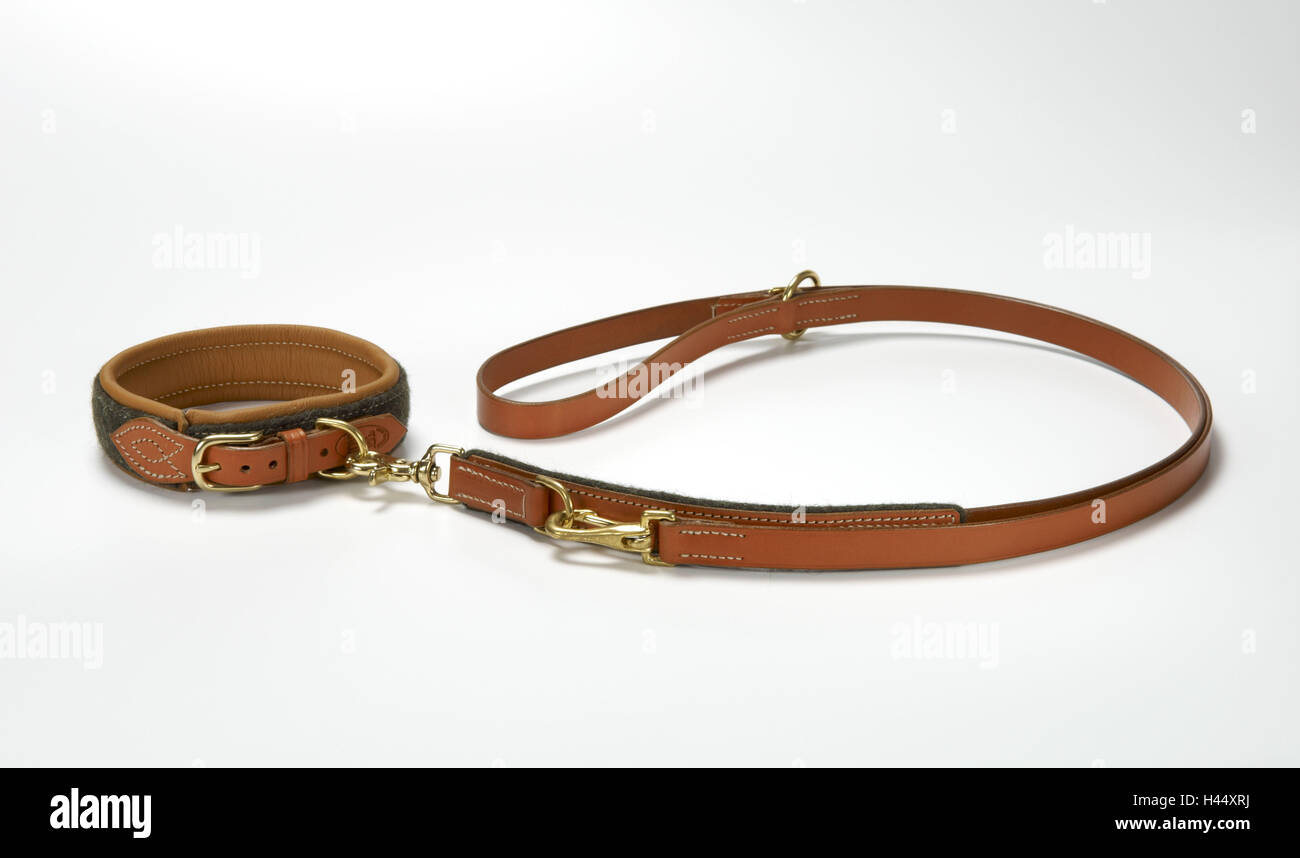 Leash, dog lead Stock Photo - Alamy