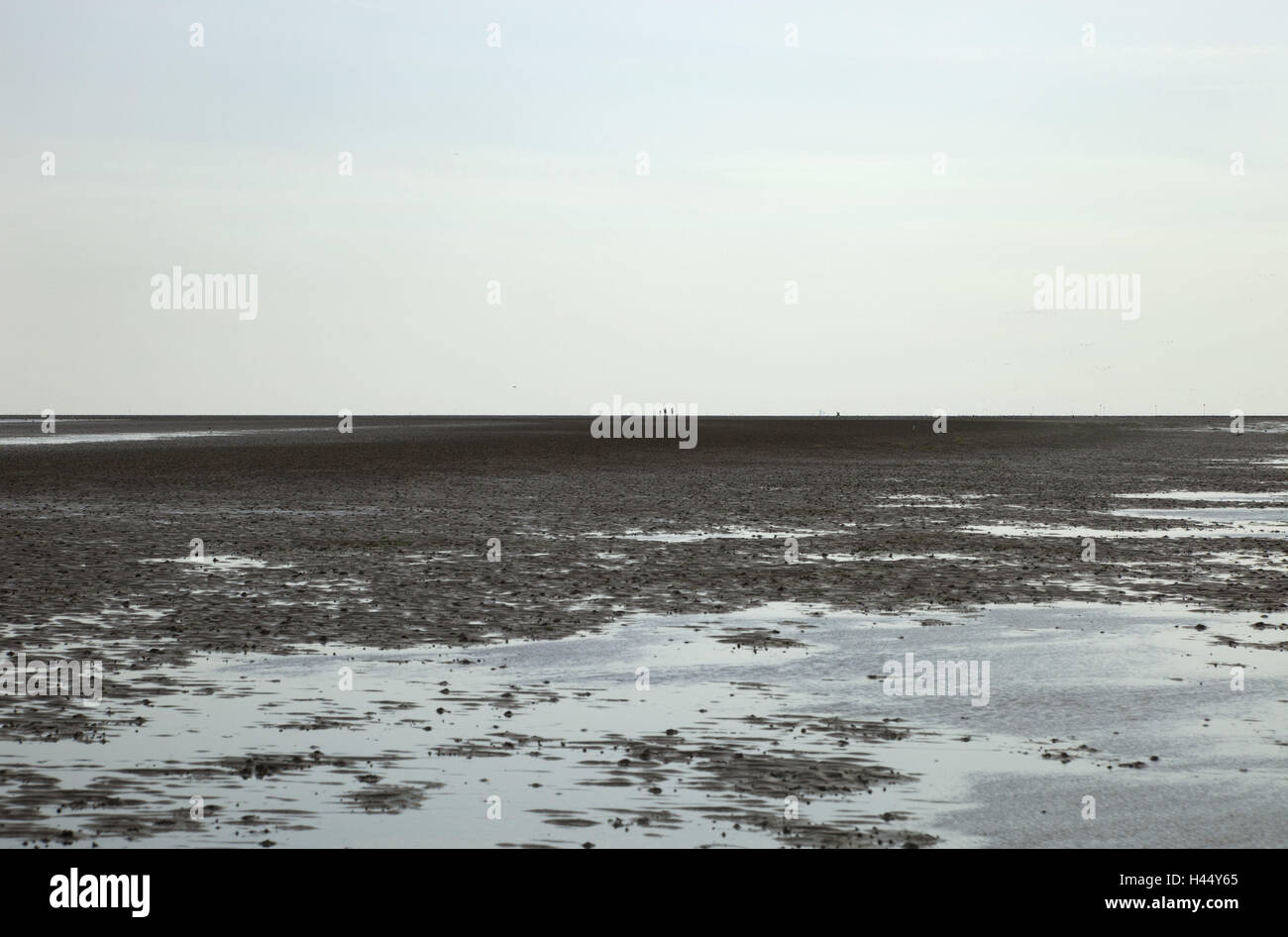The North Sea, coast, beach, b/w Stock Photo - Alamy