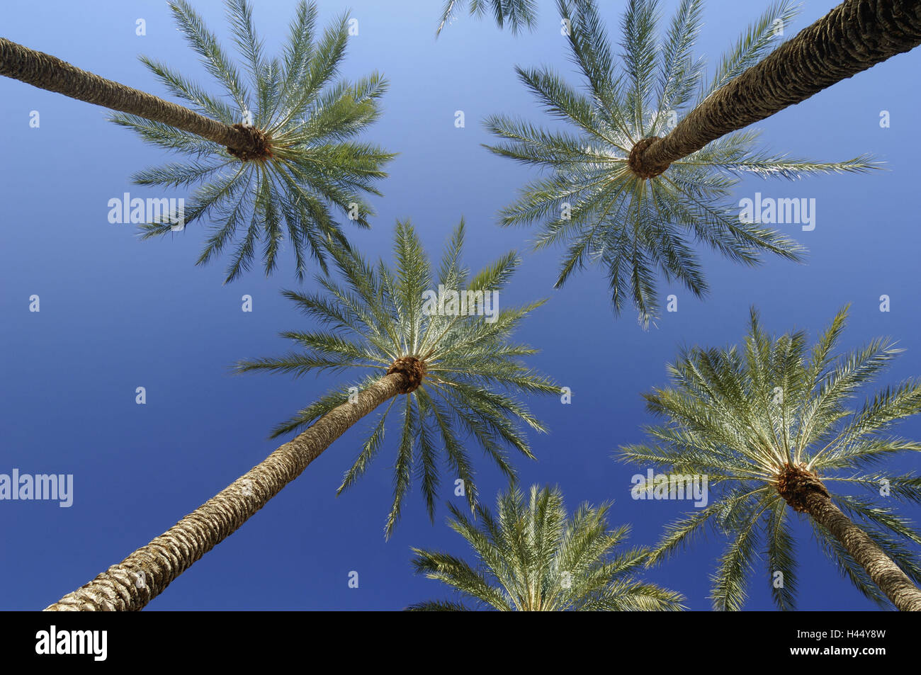Blue sky nevada hi-res stock photography and images - Alamy