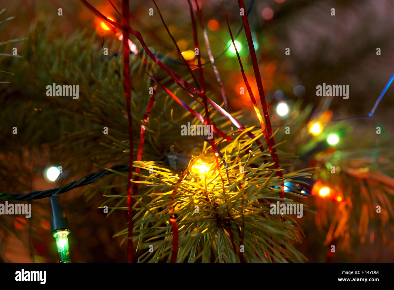 The shining fires of a fir-tree garland Stock Photo - Alamy