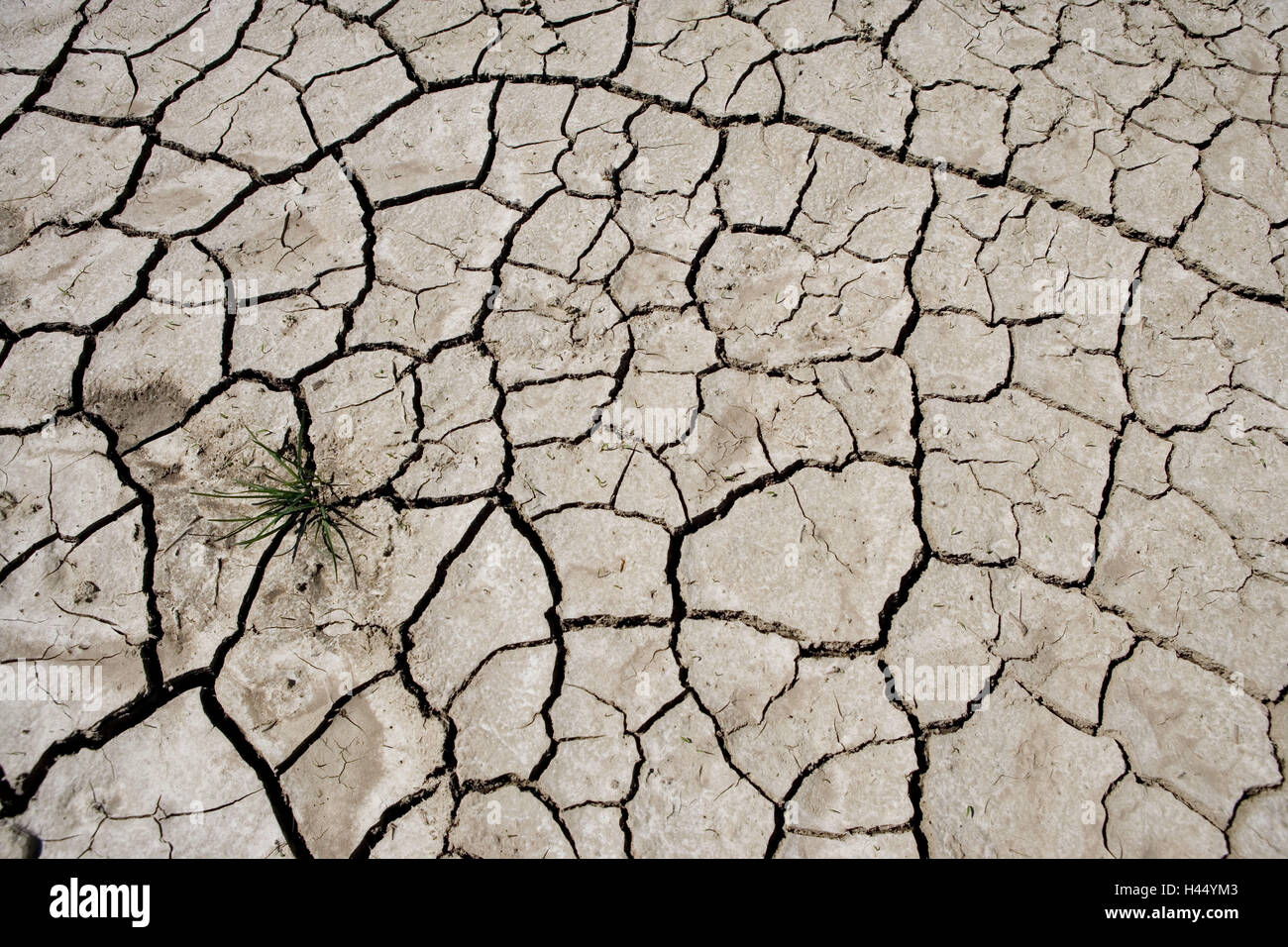 Parched field texture hi-res stock photography and images - Alamy