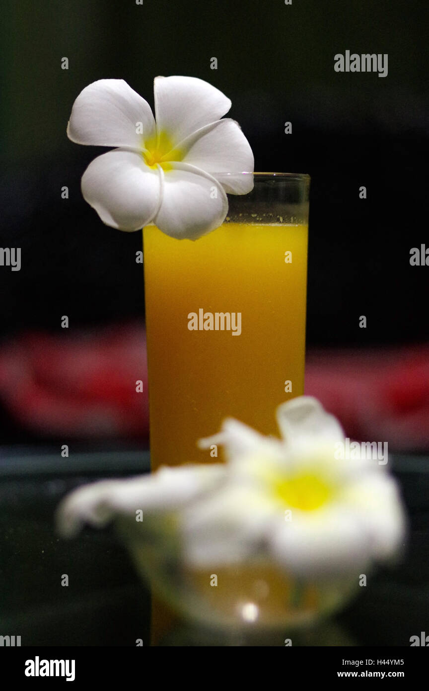 a freshly squeezed fresh orange juice, close-up with a Magnolia ...