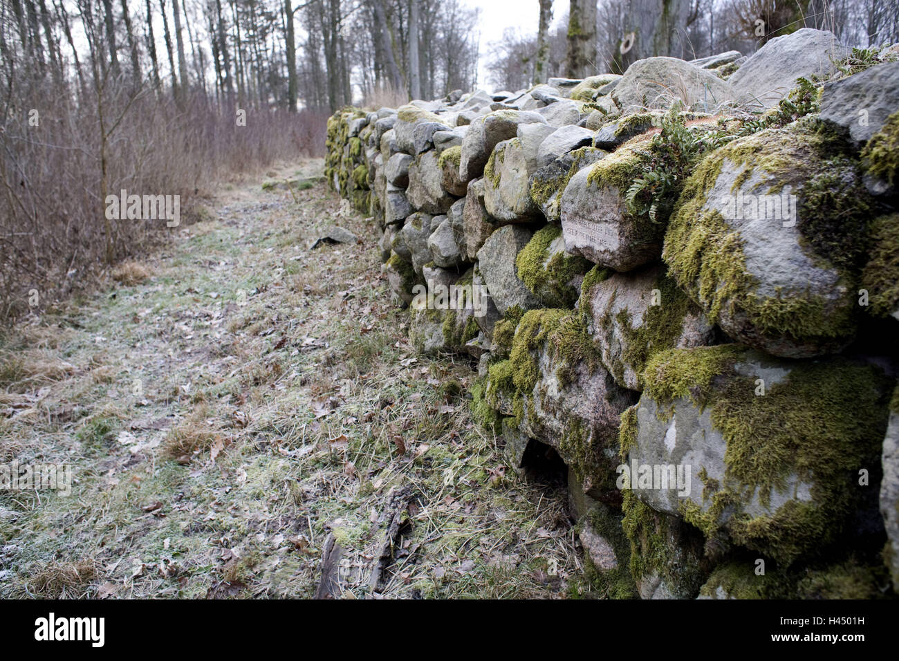 Sweden, Wanas park, stone defensive wall, grass, autumn foliage ...