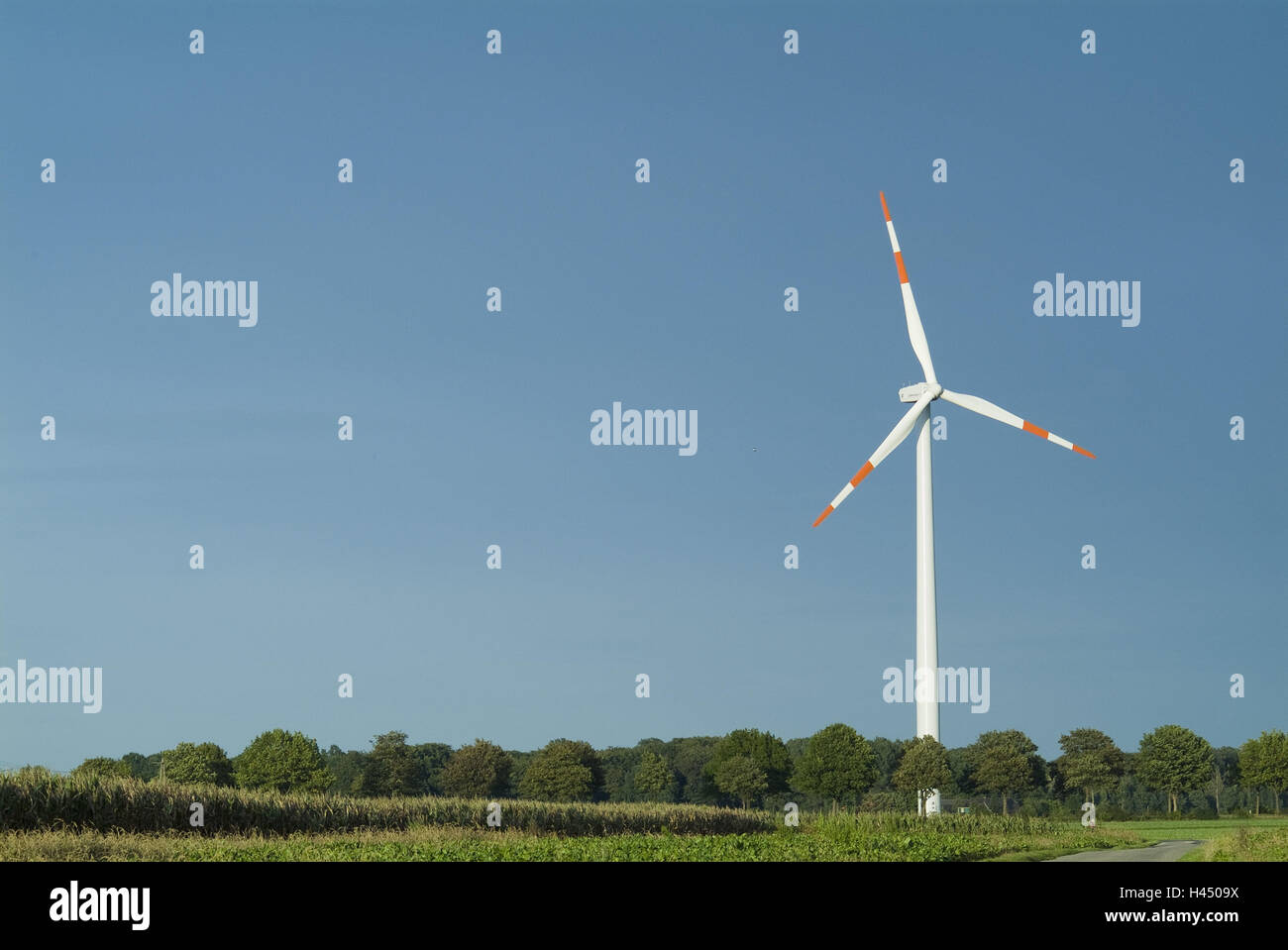 Landscape, wind wheel, sunny Stock Photo - Alamy