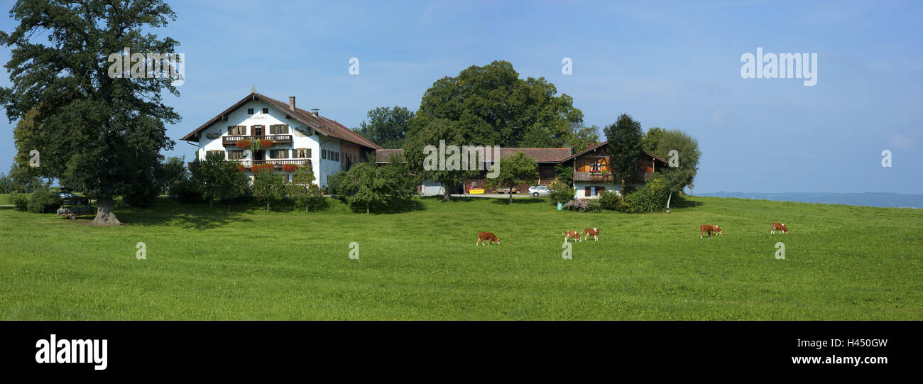 Germany, Upper Bavaria, Holzhausen, farm, summer, Bavaria, farmhouse ...