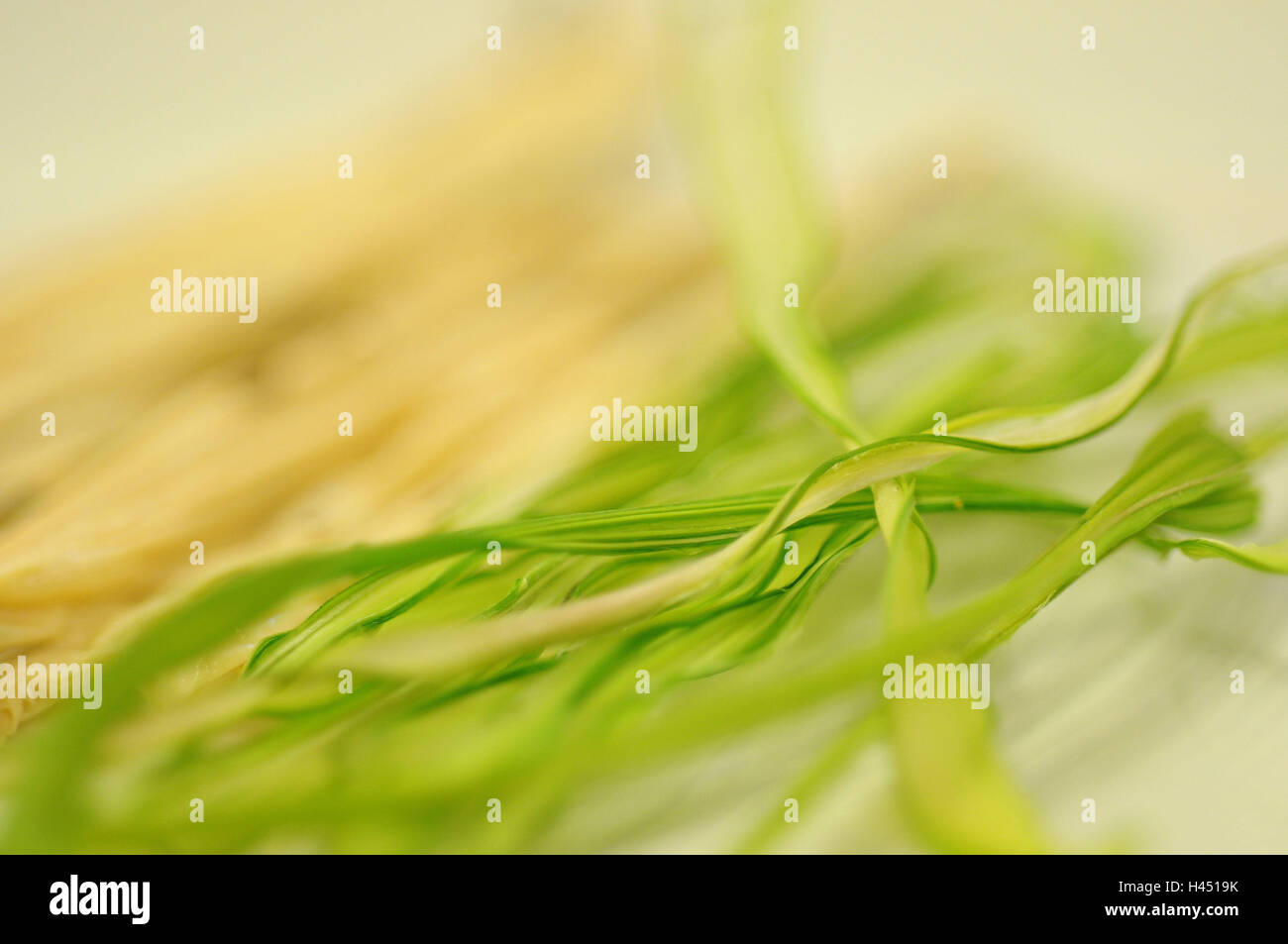 dry vegetable films, courgette Stock Photo - Alamy