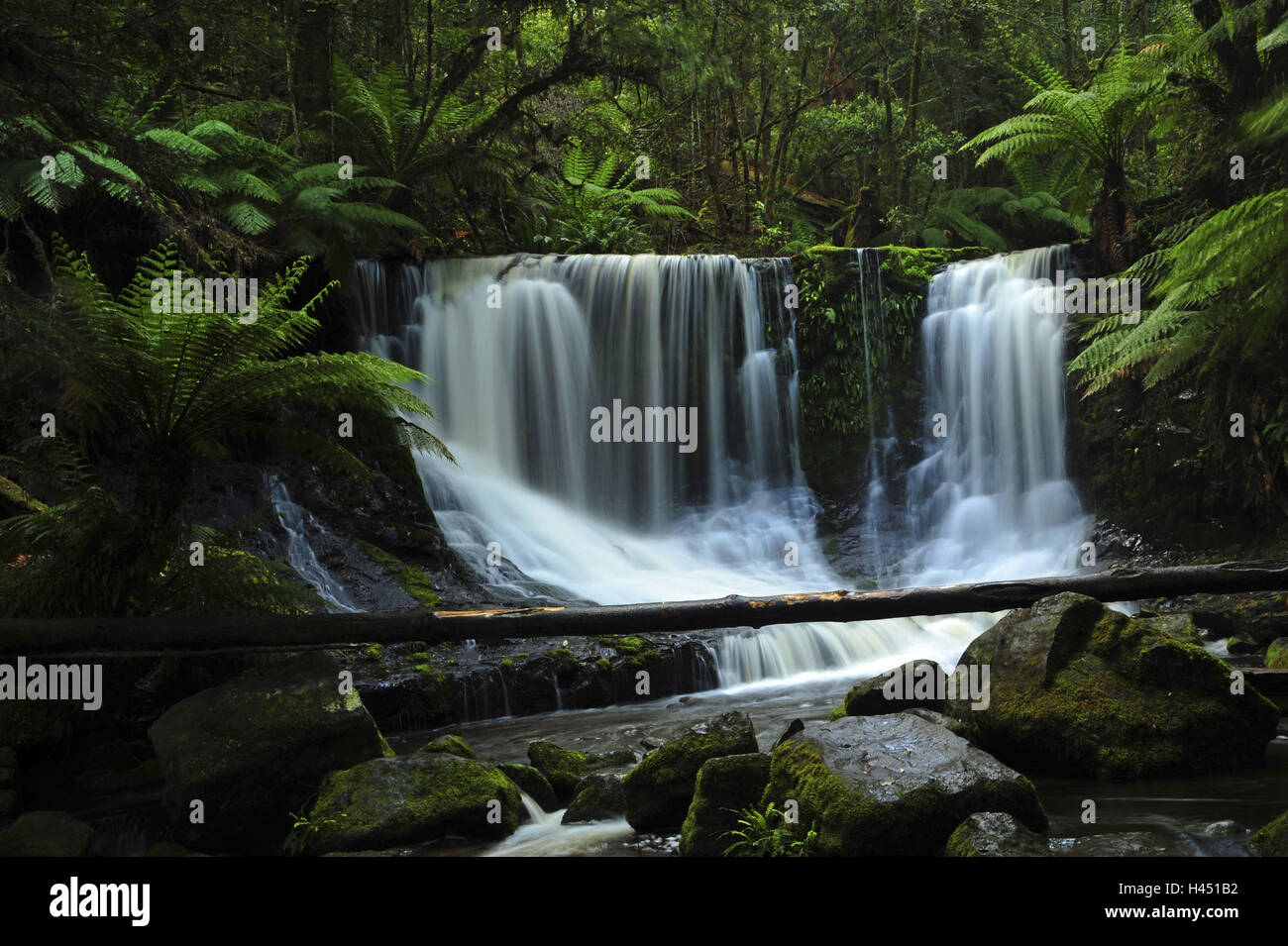 Australia, jungle, waterfall Stock Photo - Alamy