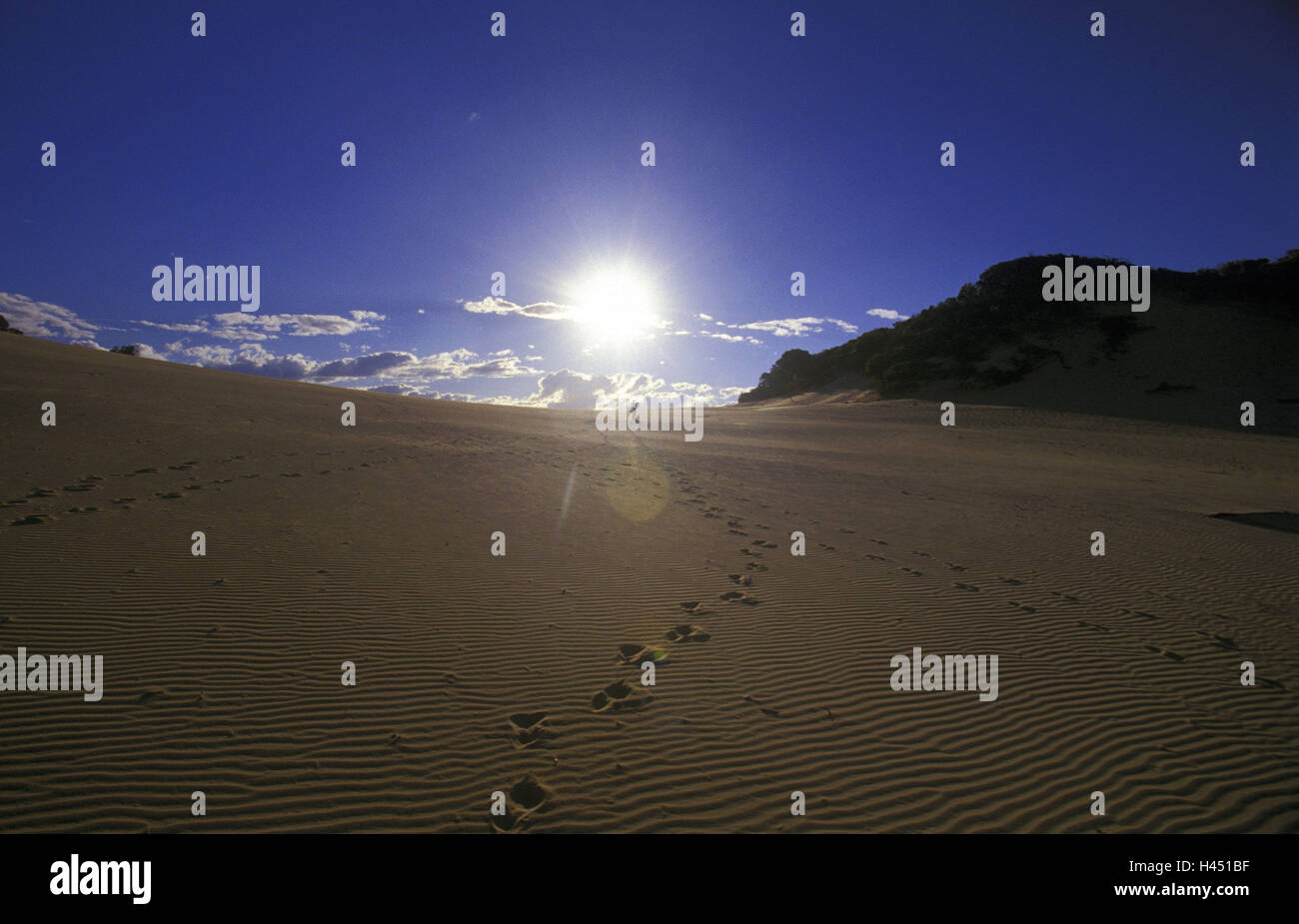 Sand tracks hi-res stock photography and images - Alamy