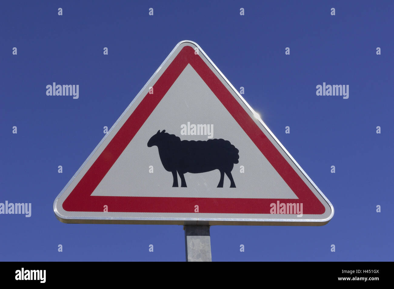 Road Traffic Sign Warning Sheep High Resolution Stock Photography and ...