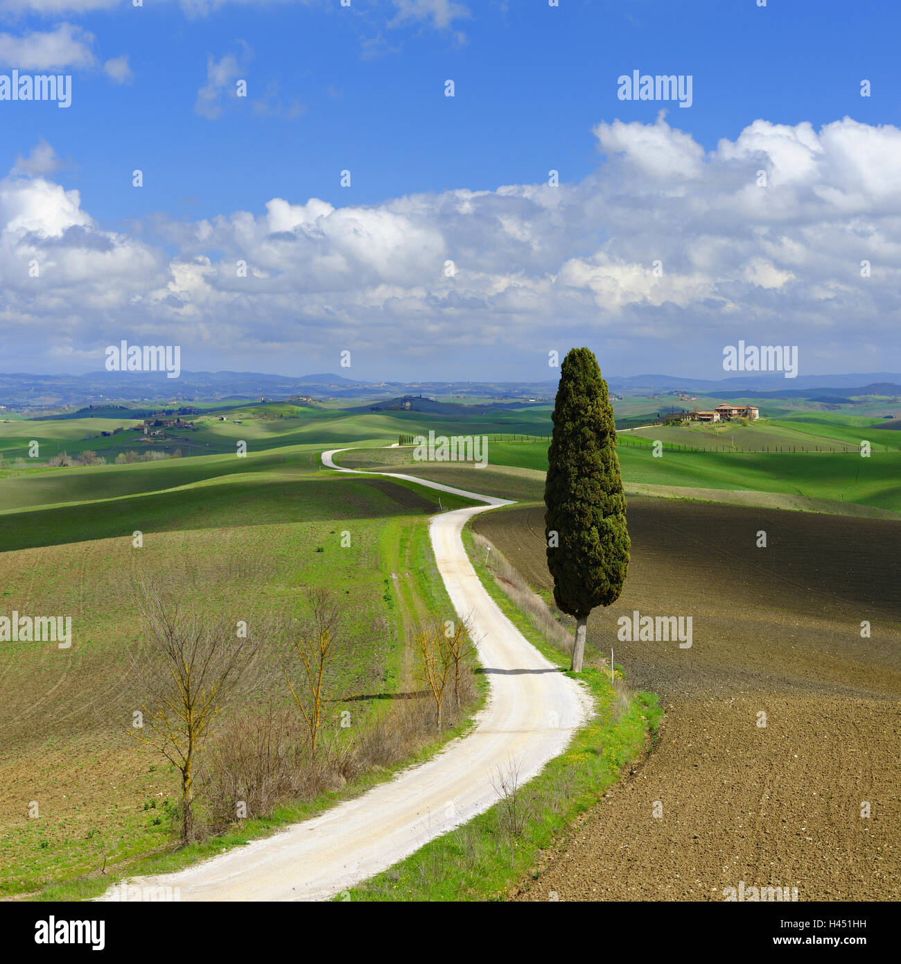 Siena scenery hi-res stock photography and images - Alamy