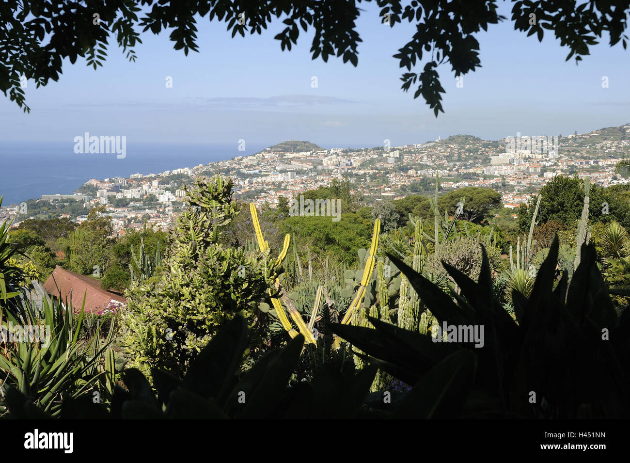 Island of madeira madeira hi-res stock photography and images - Alamy