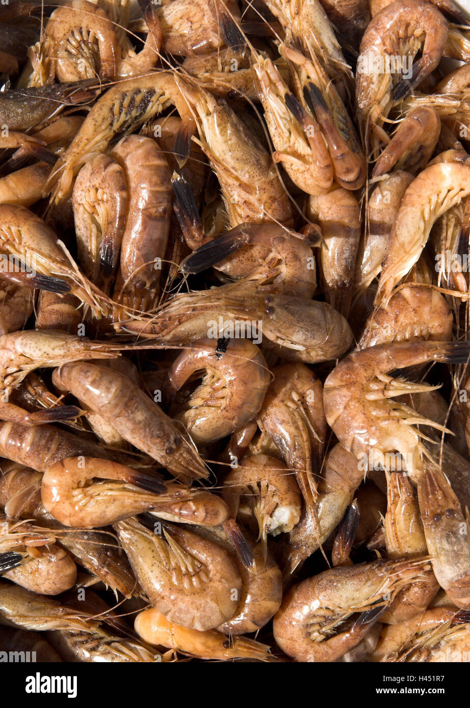 Crabs, freshly, many, close up Stock Photo - Alamy