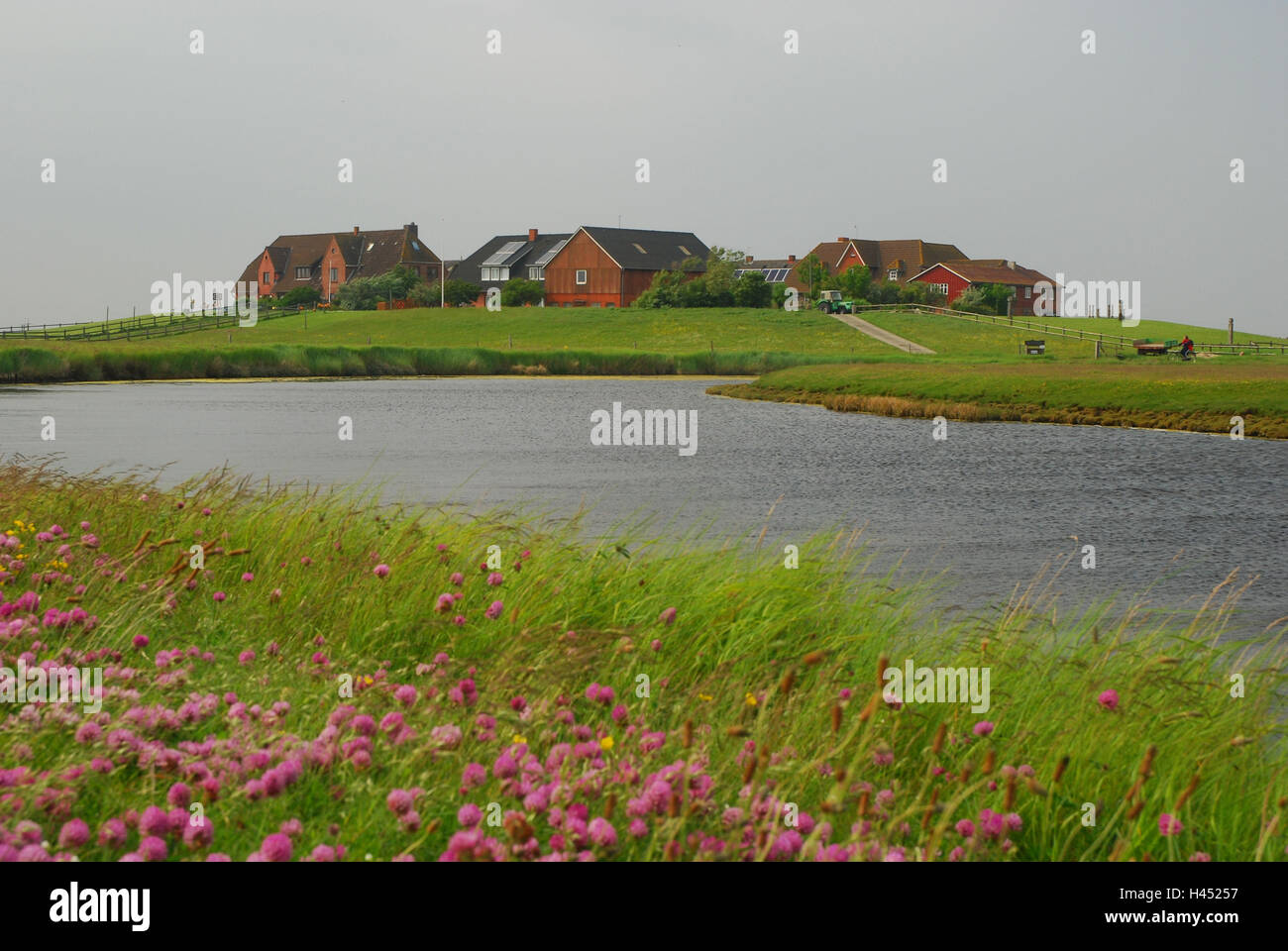 Germany, Schleswig - Holstein, north frieze country, Hallig Hooge ...