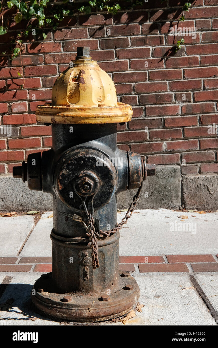 Classic American style water hydrant seen in downtown Boston, MA ...