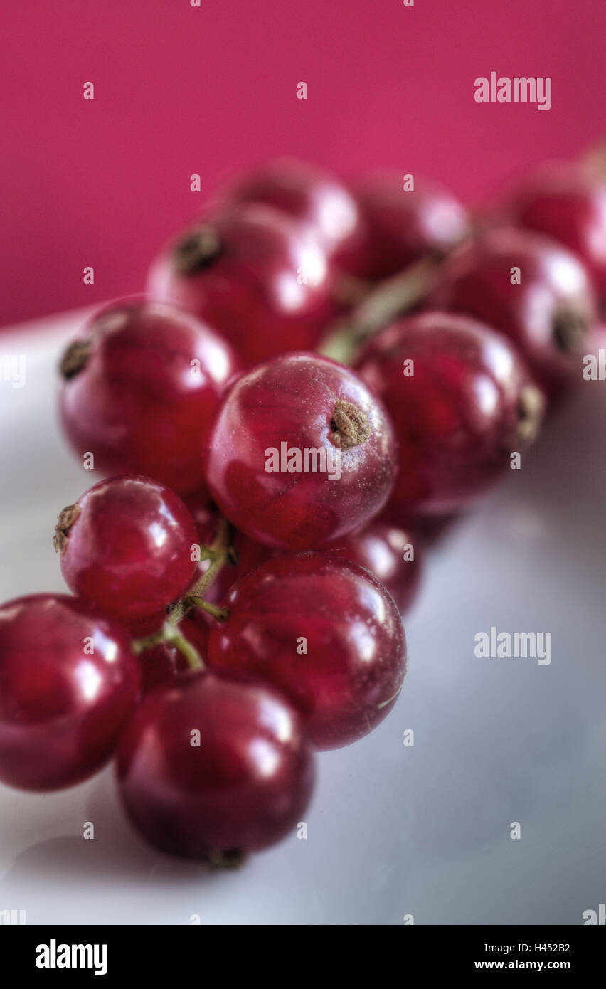 Currants, medium close-up, gooseberry plants, fruit, summer fruit ...
