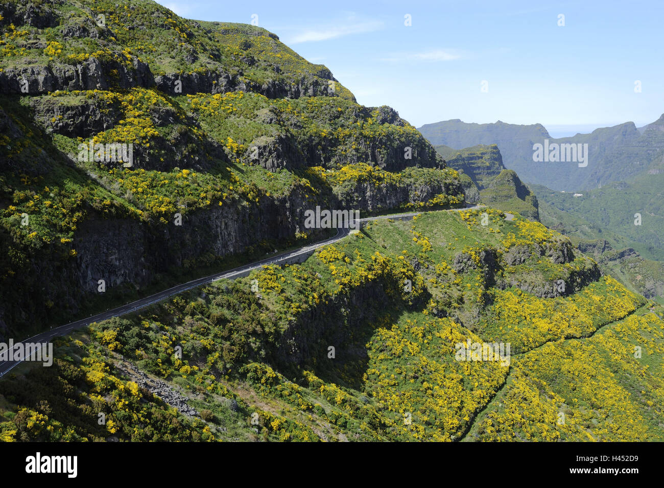 Madeira portugal vegetation hi-res stock photography and images - Alamy