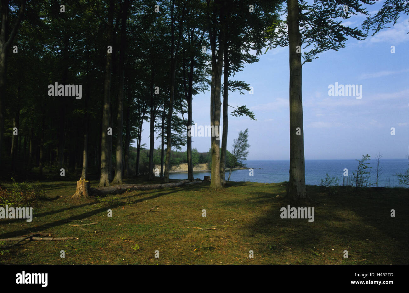 Denmark, island Nyord, Falster, rock-coast, beach, forest, sea-gaze ...