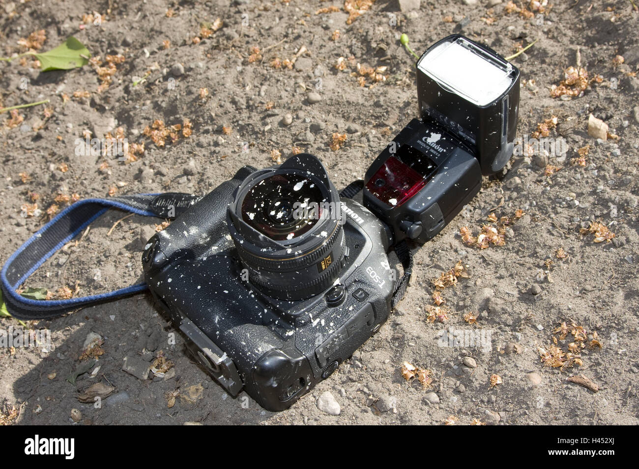 Reflex camera, Aufsteckblitz, Sand, lie, dirtily, camera, camera ...