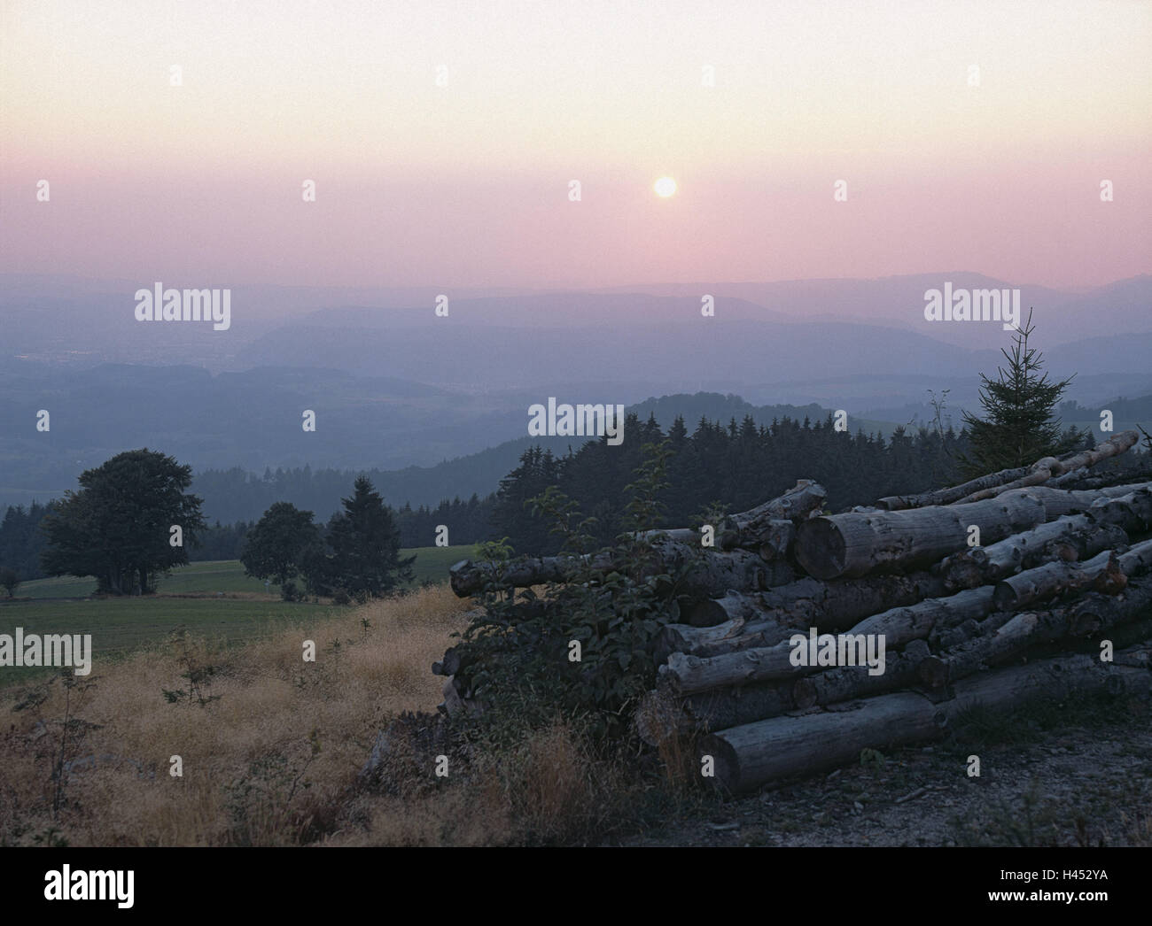 Domineering hi-res stock photography and images - Alamy