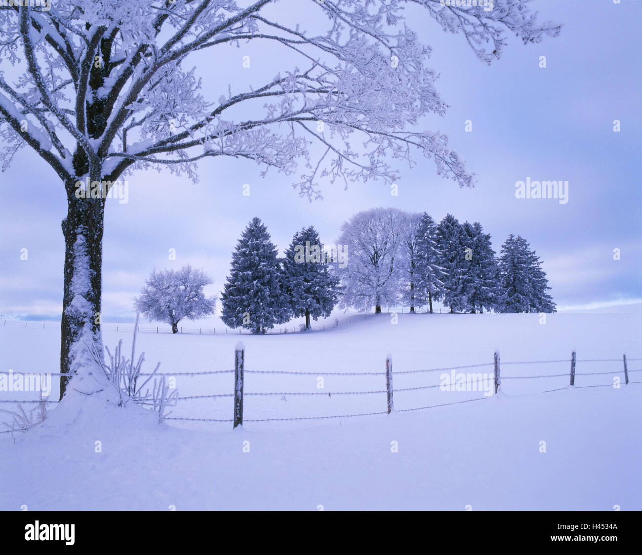 Cold scenery hi-res stock photography and images - Alamy