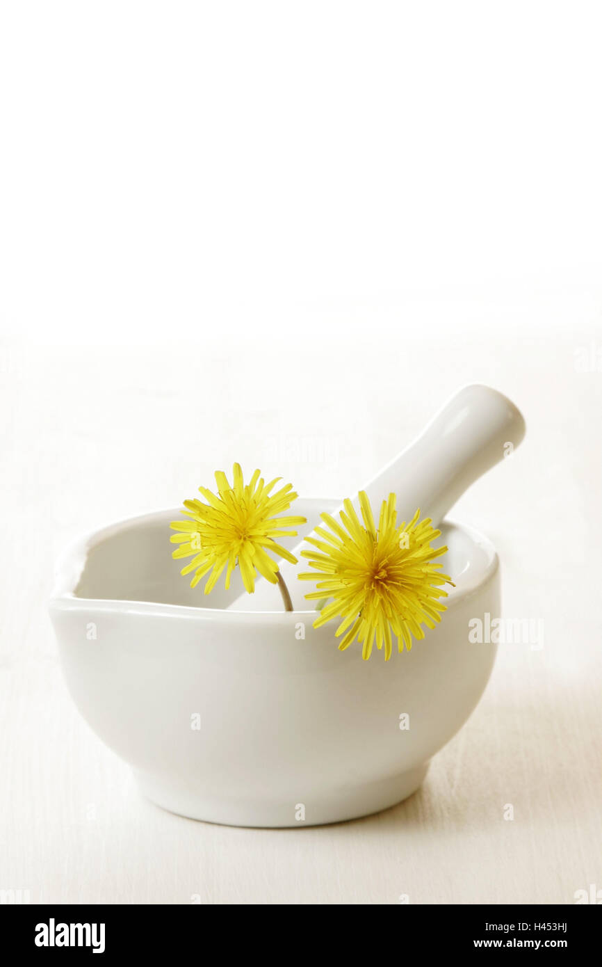 Mortars, tappets, dandelion, Taraxacum, officinale, health, medicine ...