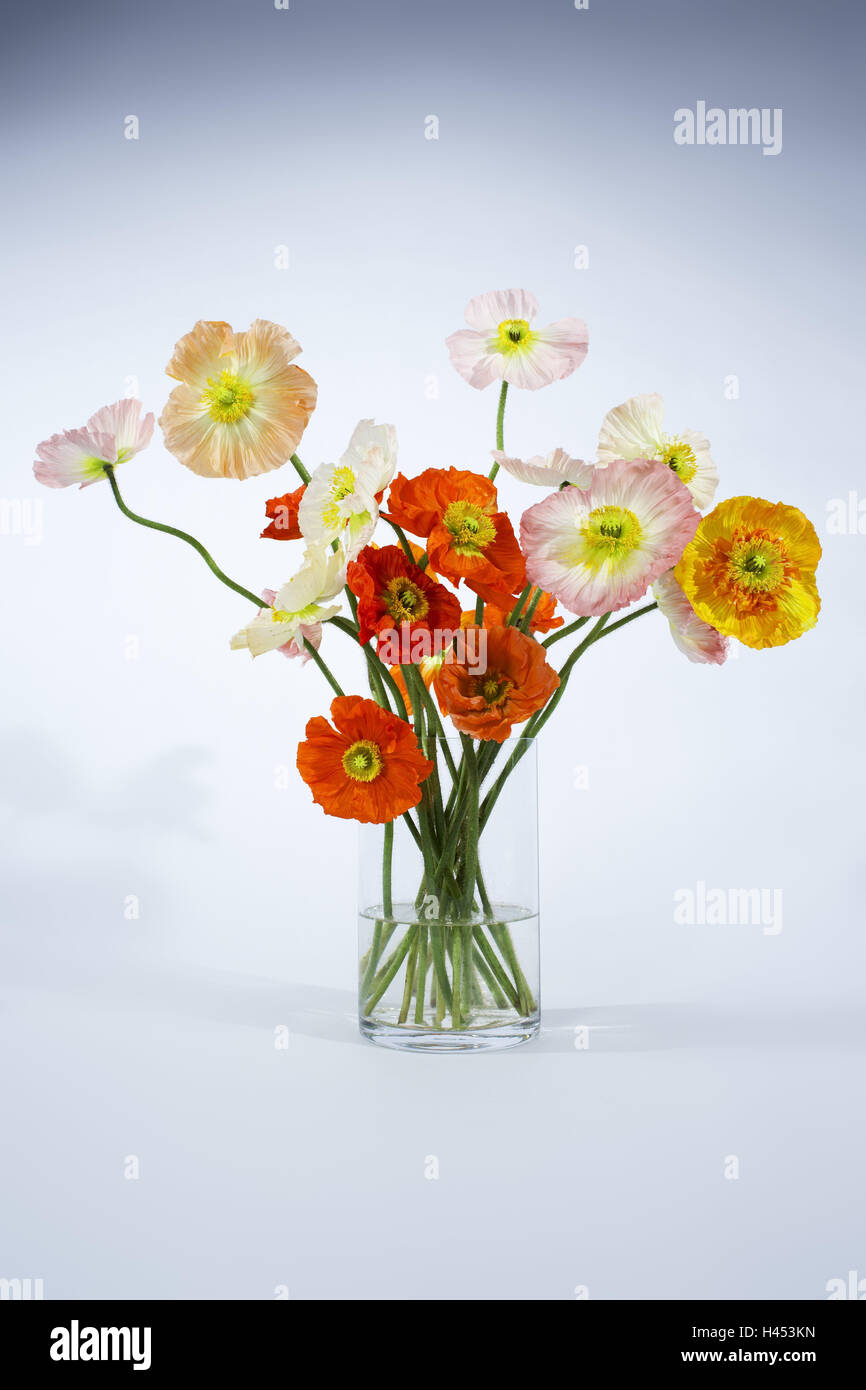 Vase with poppies hi-res stock photography and images - Alamy