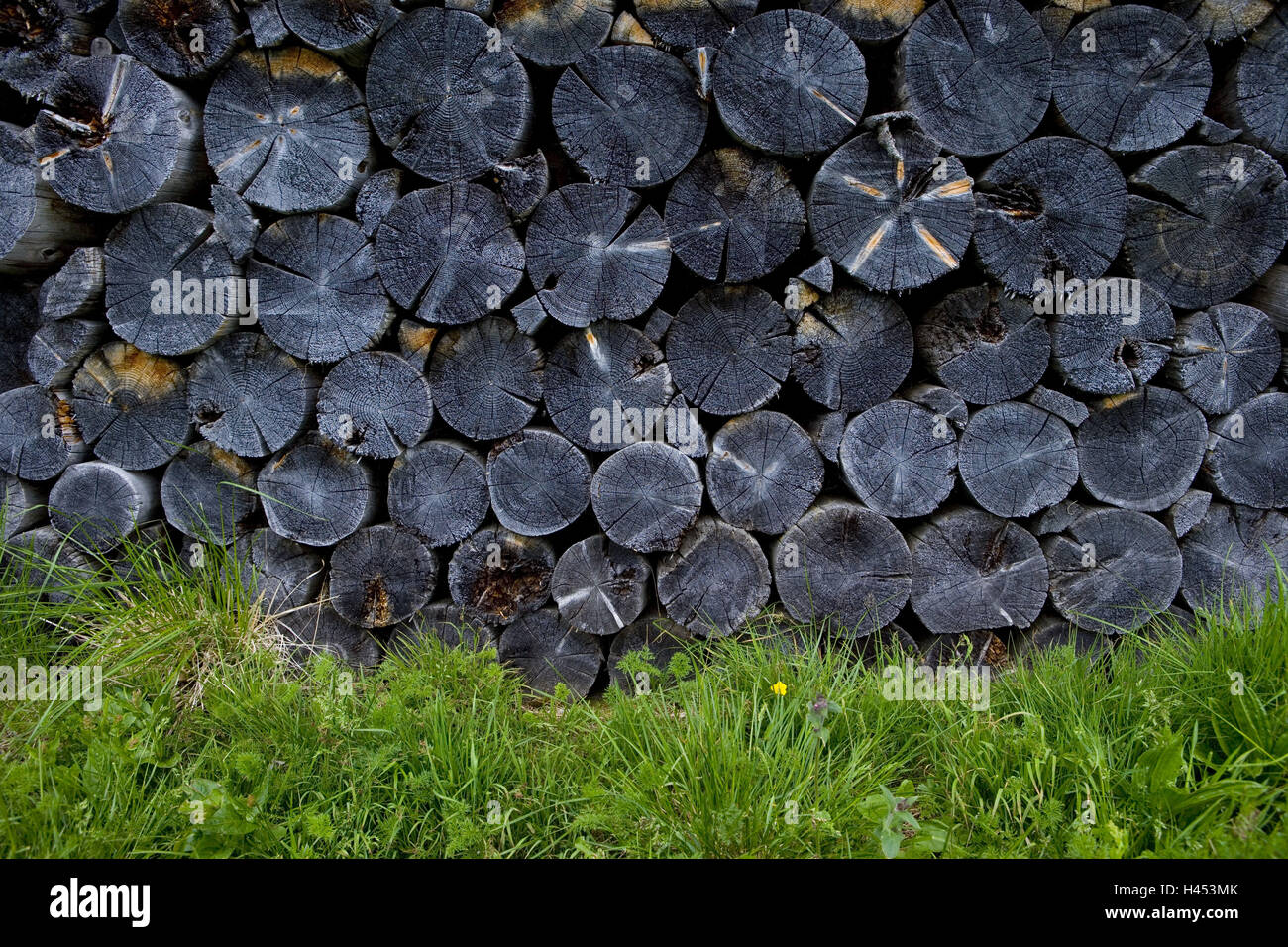 Rustic piece of timber hi-res stock photography and images - Alamy