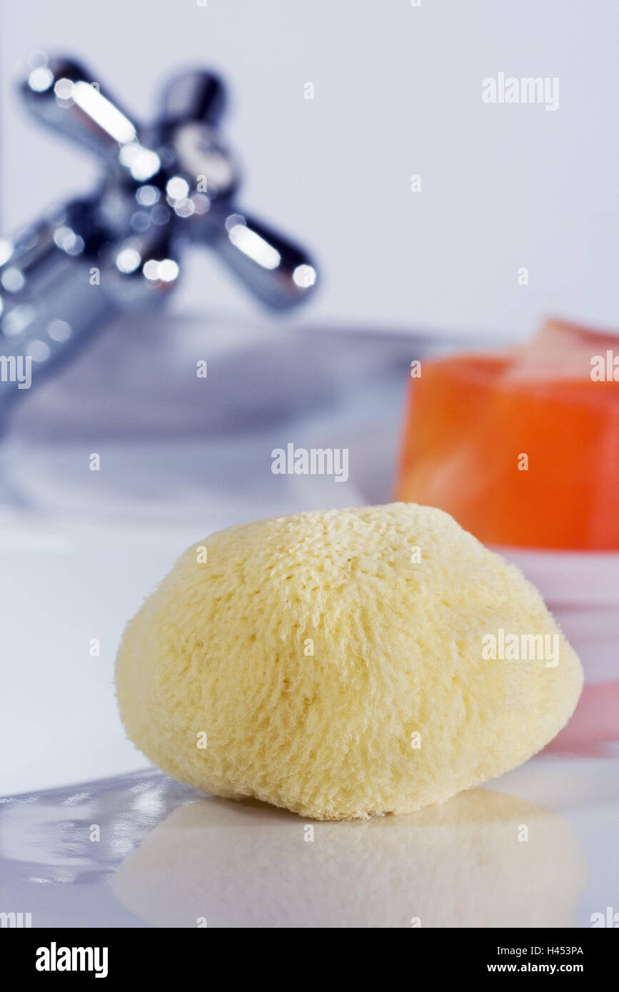 Bath, sink, nature fungus, medium close-up, background blur, bathroom ...
