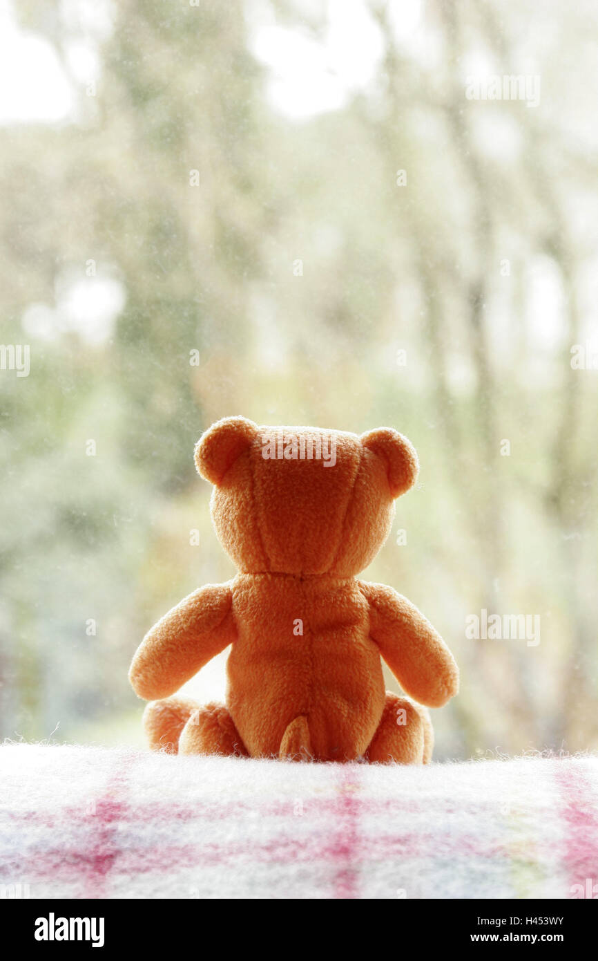 Teddy bear, windows, back view, window pane, inside, view, soft toy ...