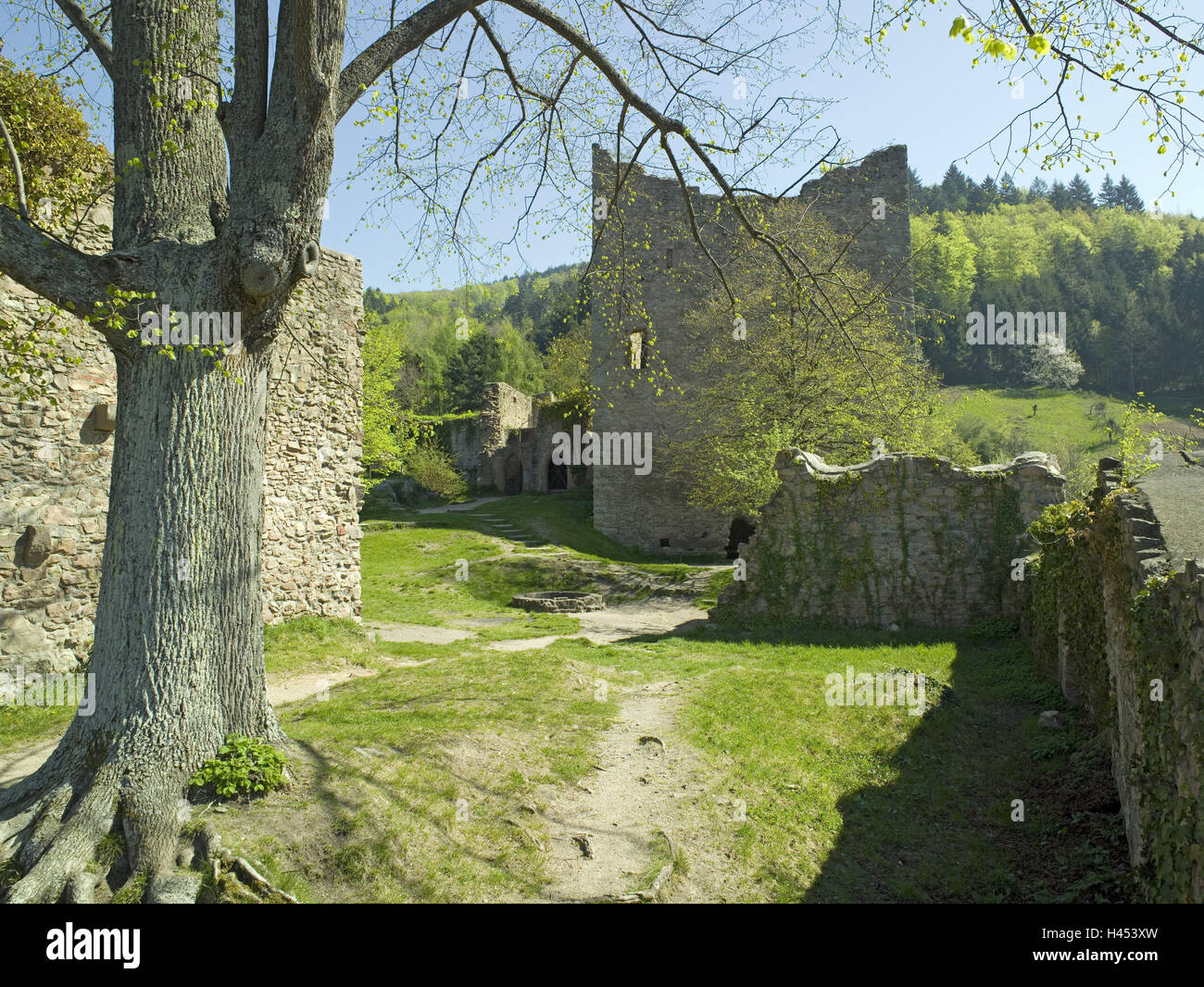 Germany, Baden-Wurttemberg, Oberkirch, ruin looking castle, spring ...