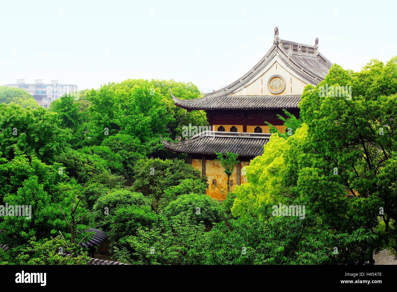 Trees with building hi-res stock photography and images - Alamy