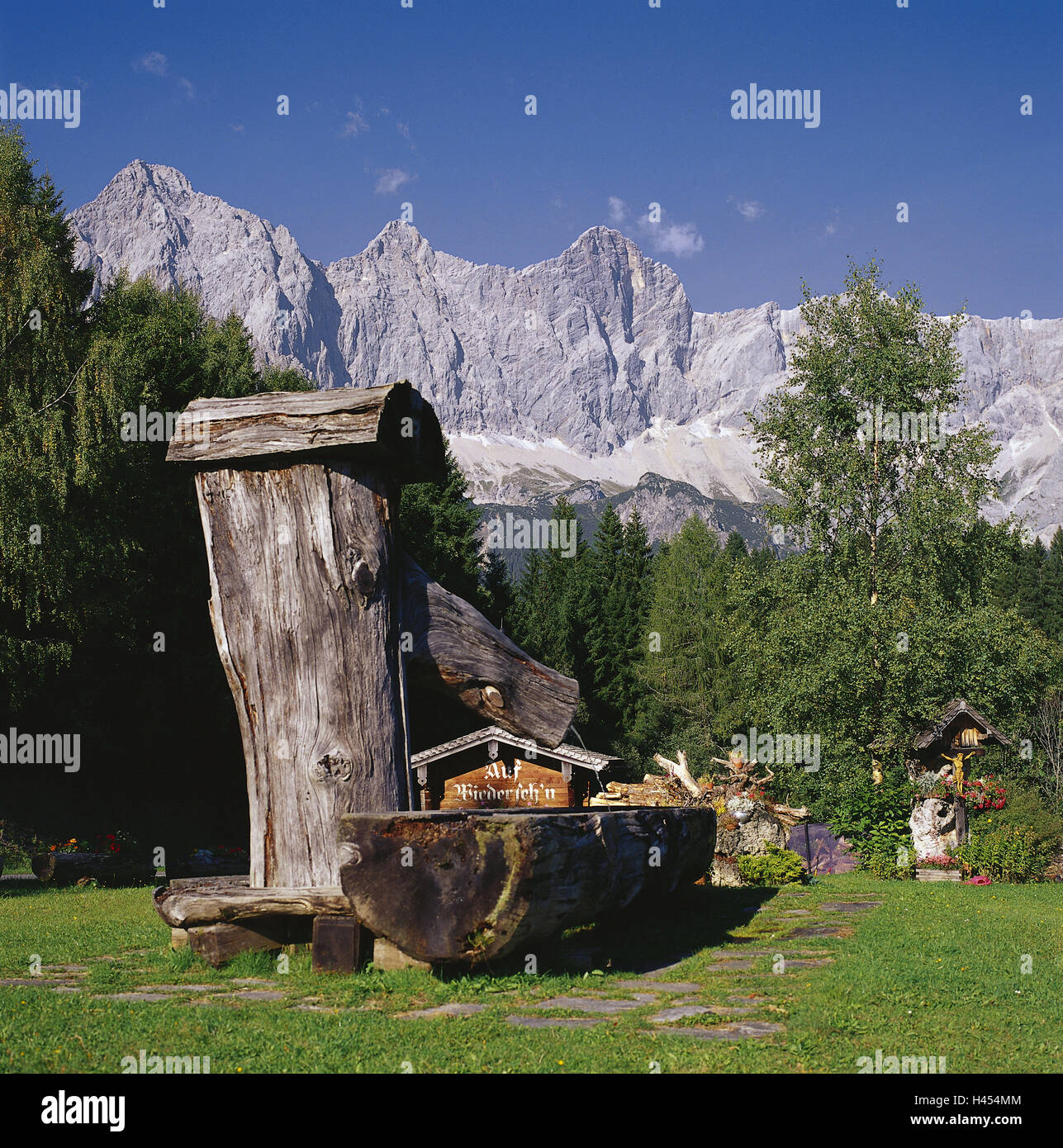 Austria, Salzburg country, felt moss, leisure time plant, well ...