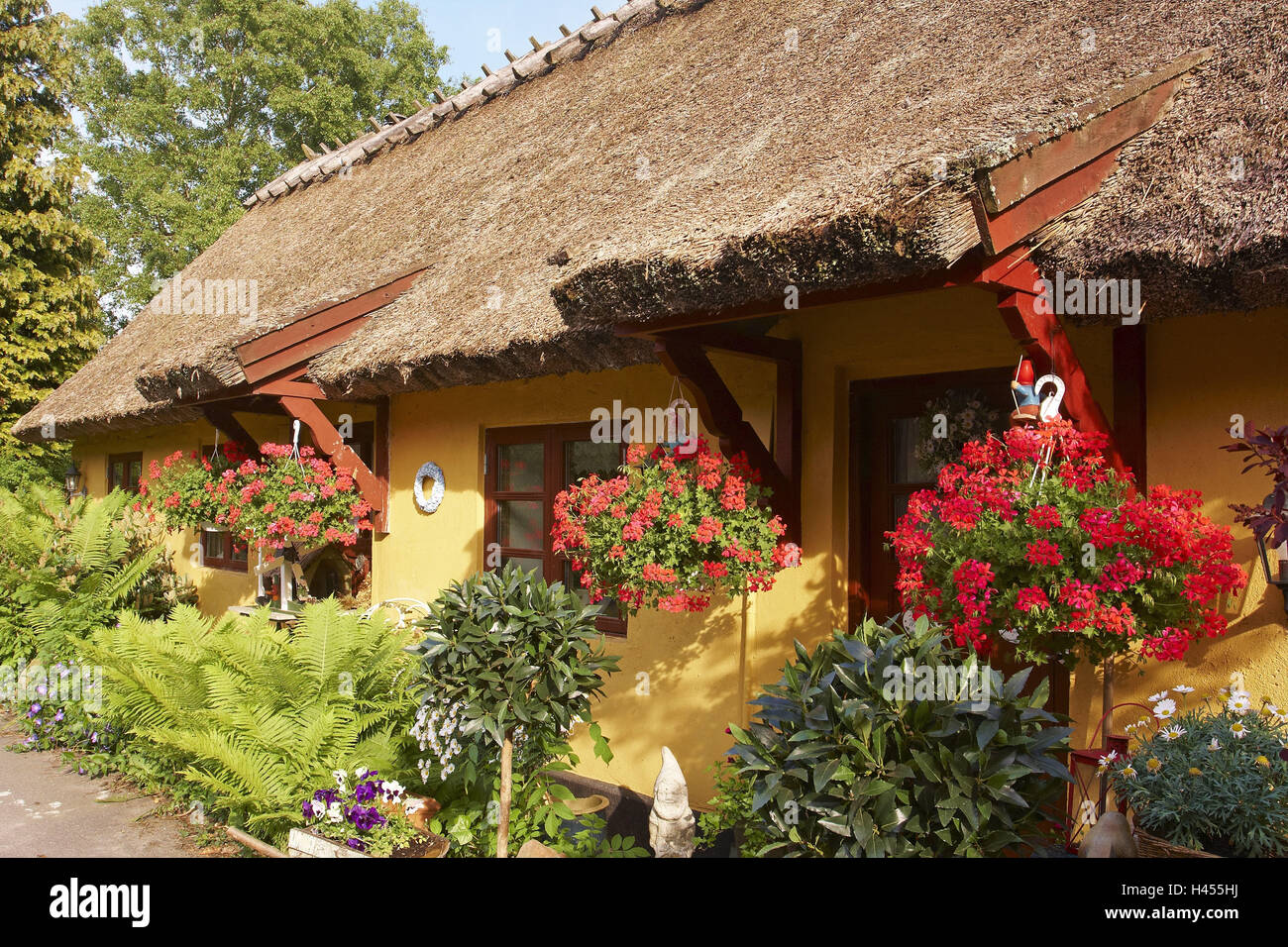 Denmark, summer cottage, thatched roof, flowers Stock Photo - Alamy