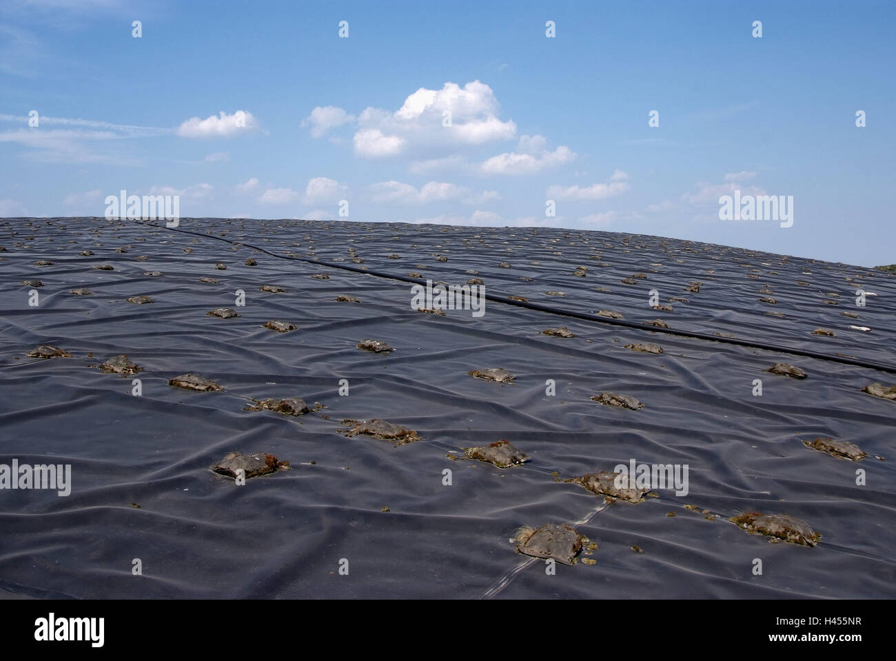 Garbage dump, covered Stock Photo - Alamy