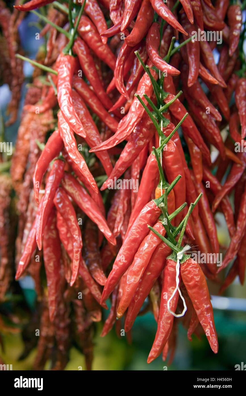 Chilli pods, dried, market, product, sale Stock Photo - Alamy