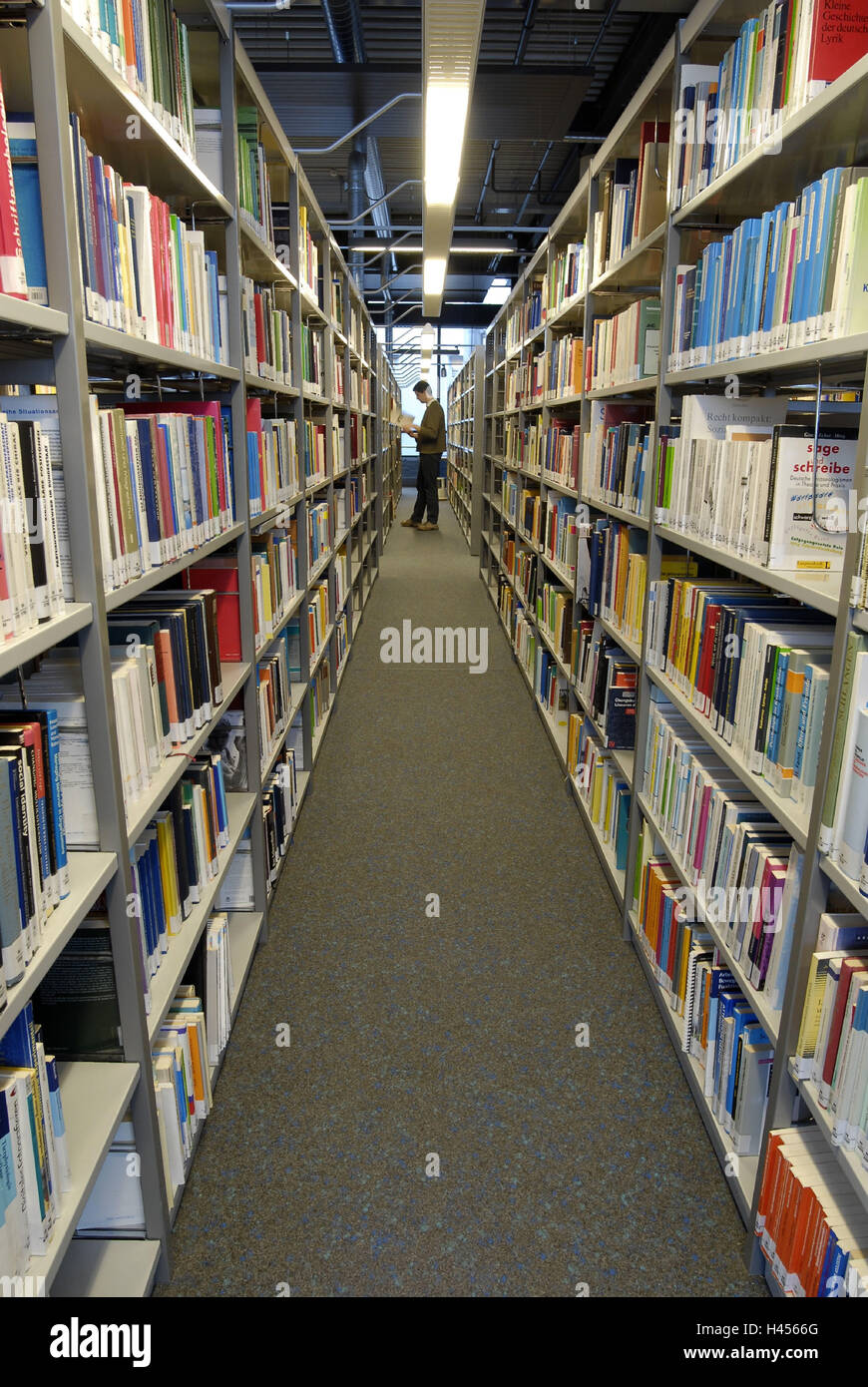 Shelves, books, library Stock Photo - Alamy