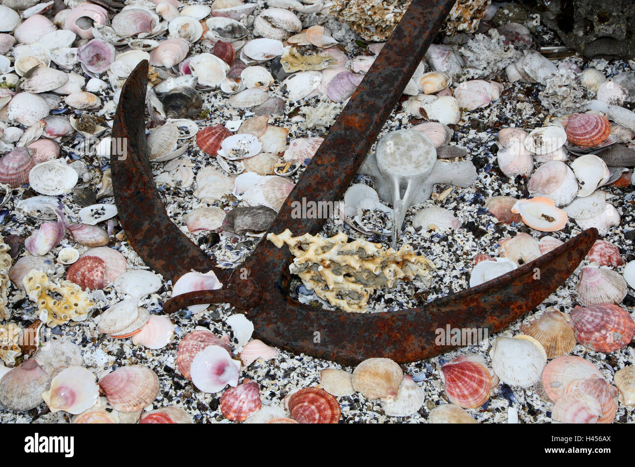Sigurborg garden, mussel collection, anchor, Iceland Stock Photo - Alamy