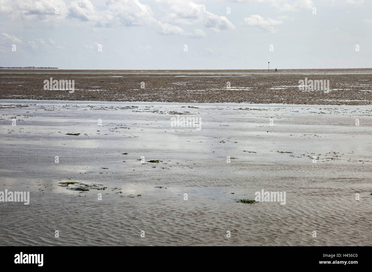 The North Sea, watt Stock Photo - Alamy