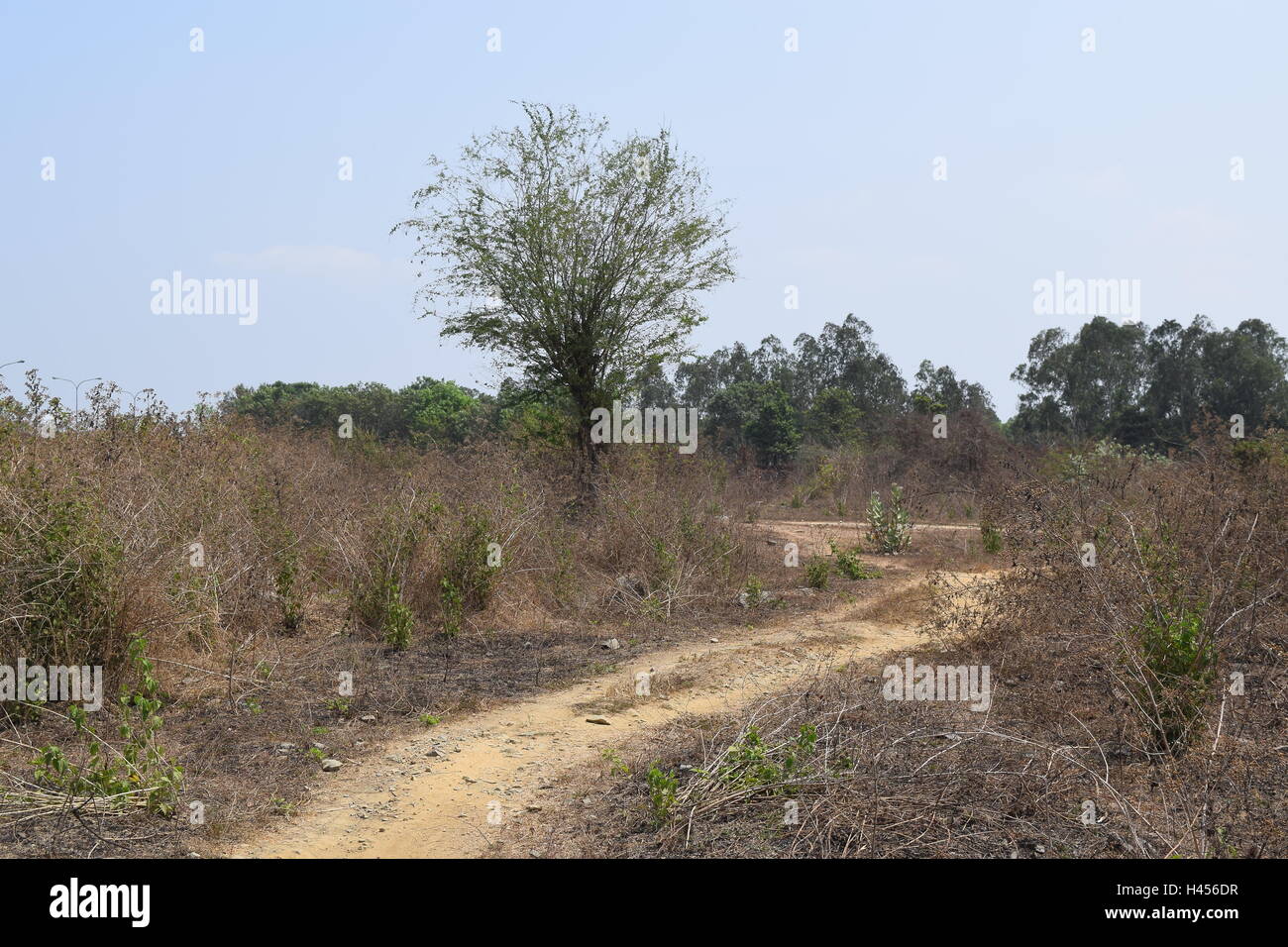 small soil pathway in countryside in dry season Stock Photo - Alamy