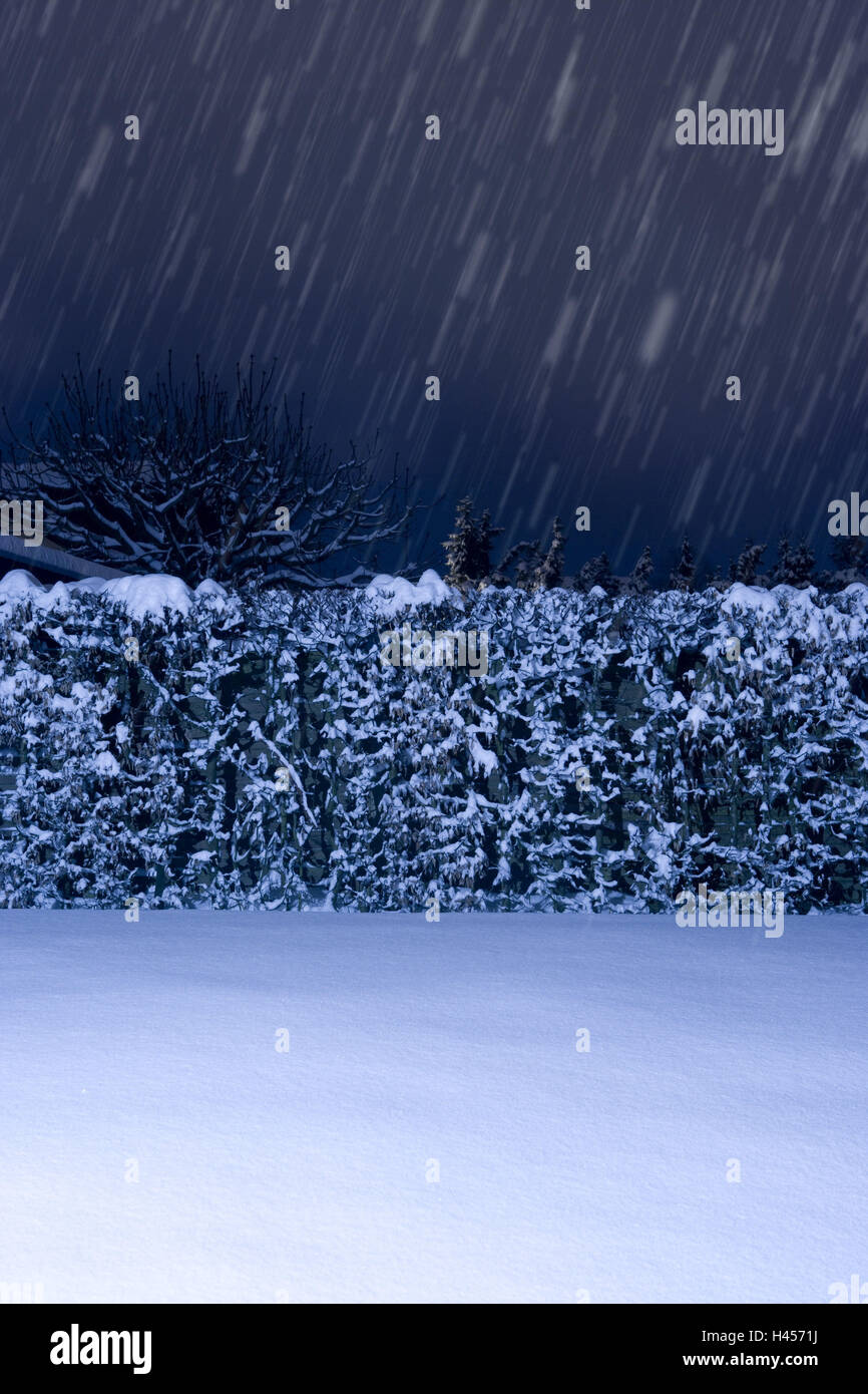 Night garden photography hi-res stock photography and images - Alamy