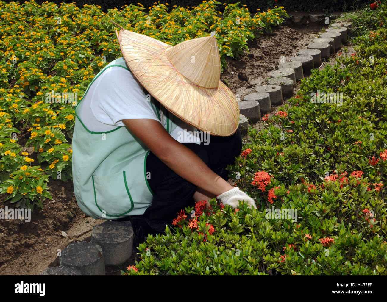Gardener, flowers, care, Taipeh, Taiwan Stock Photo - Alamy