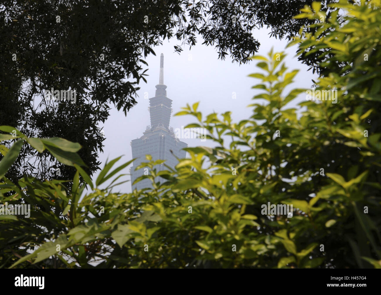 Taipei 101 Tower, skyscrapers, detail, trees, Taipeh, Taiwan Stock ...