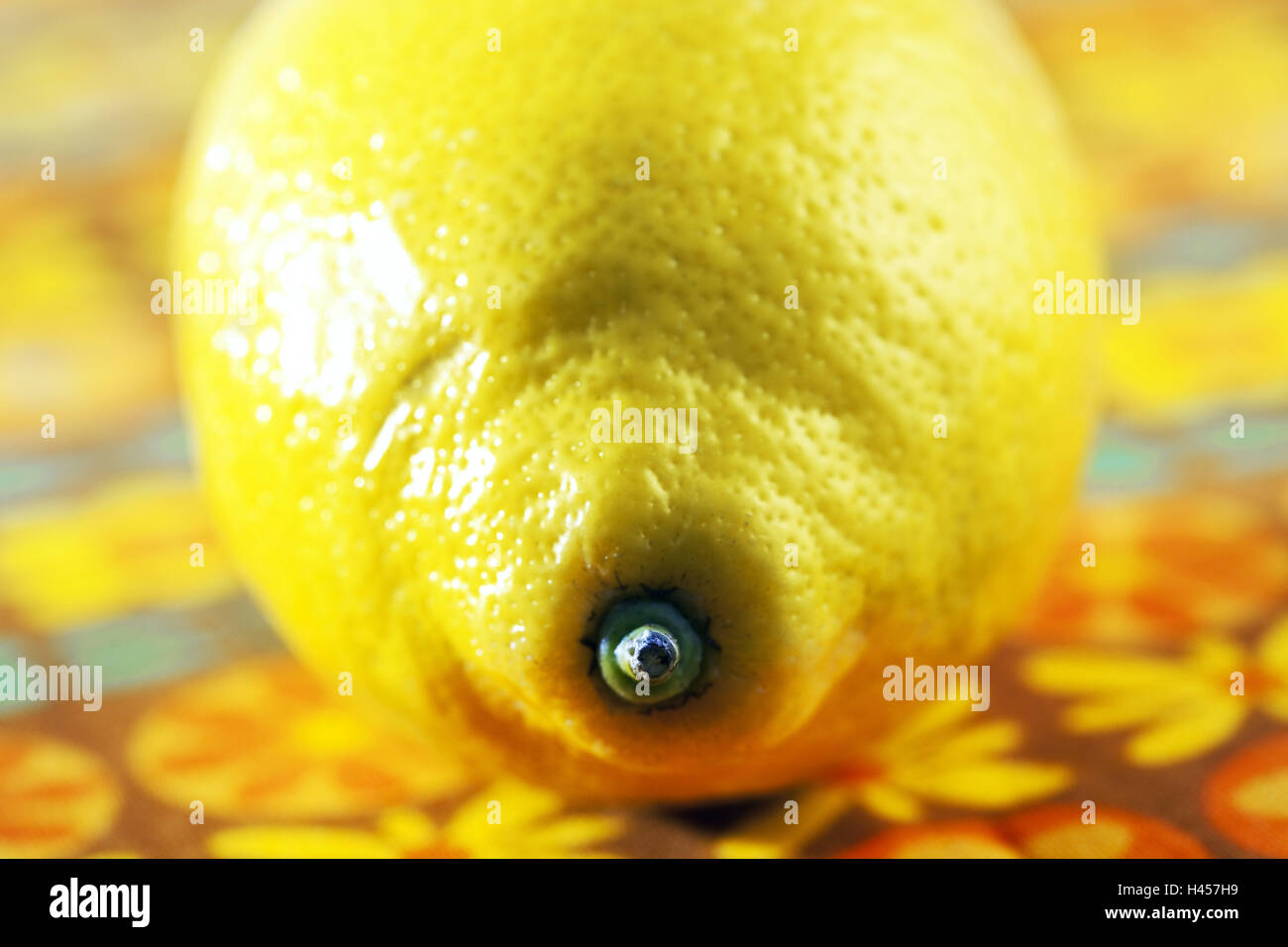 Lemon, close up Stock Photo - Alamy