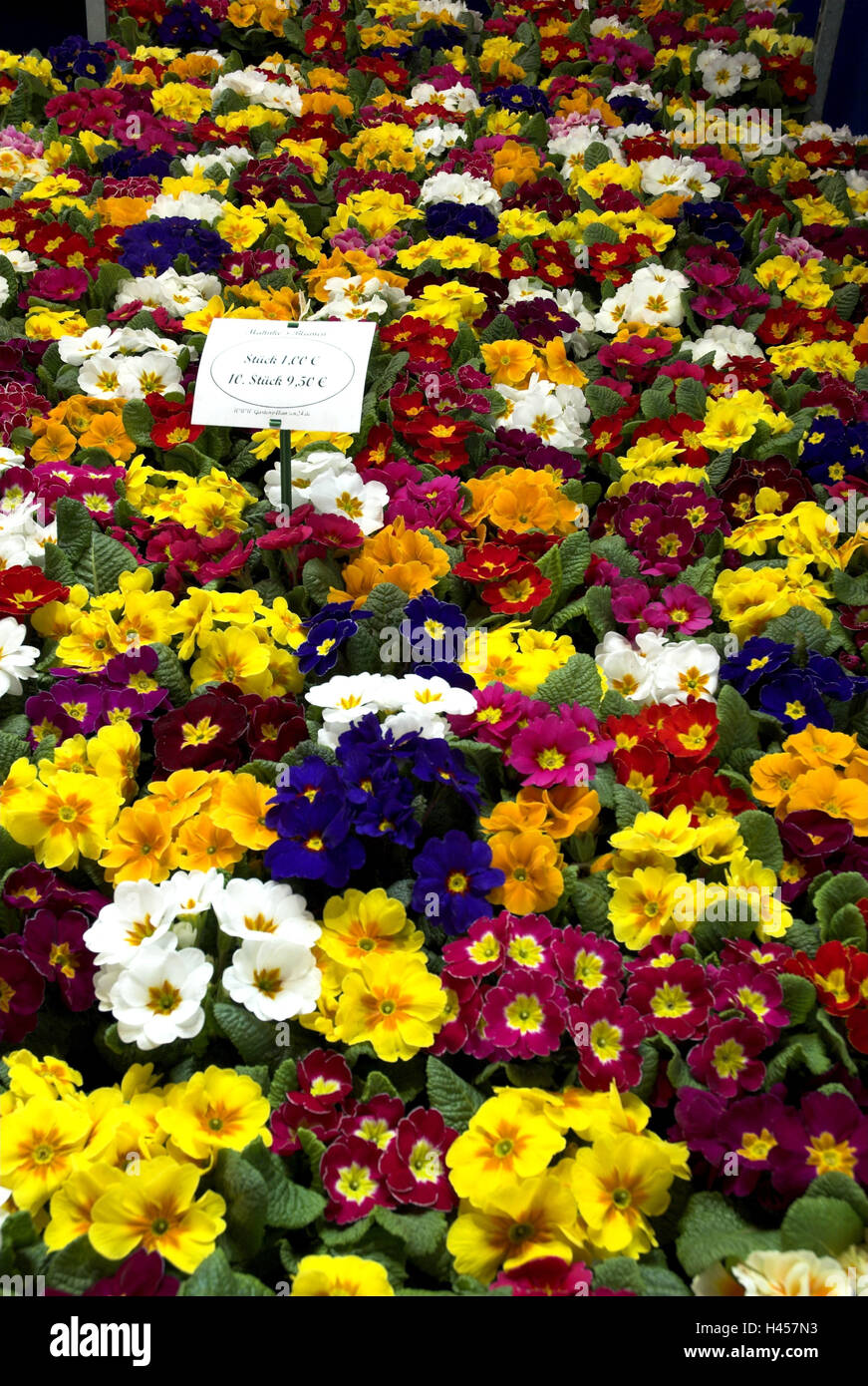 Flower stall sign hi-res stock photography and images - Alamy